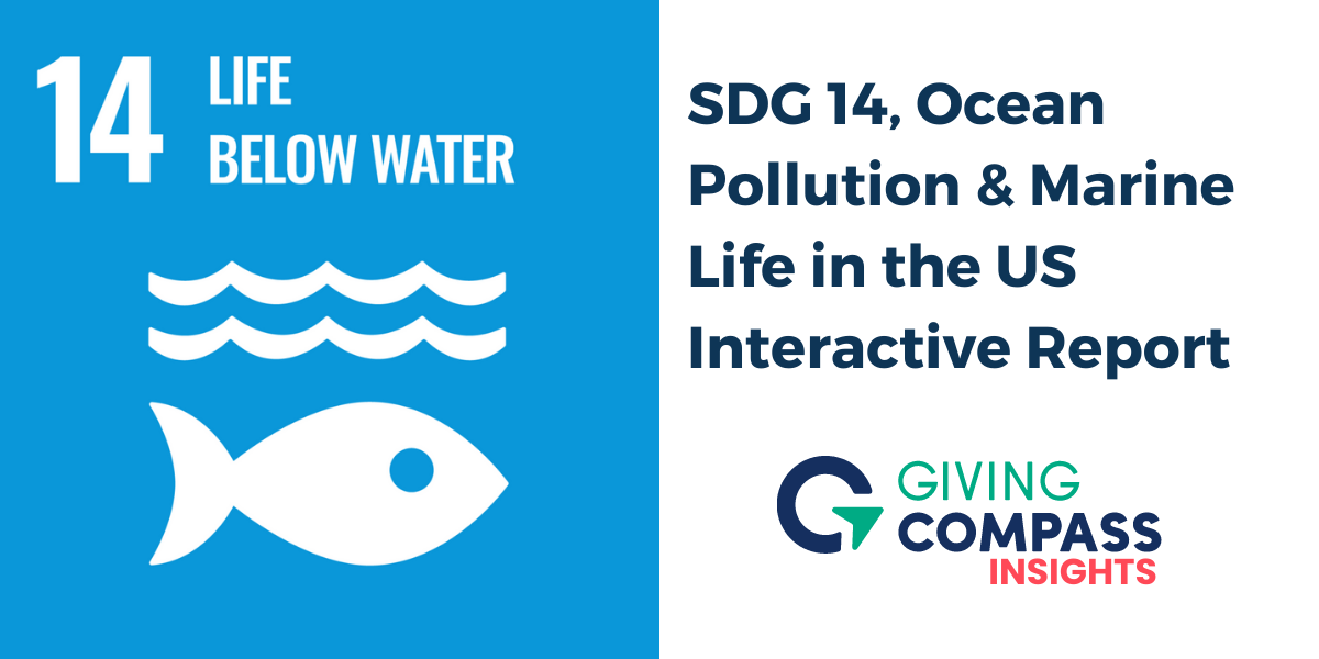 Ocean Pollution and Marine Life in the US - Report - GC Insights